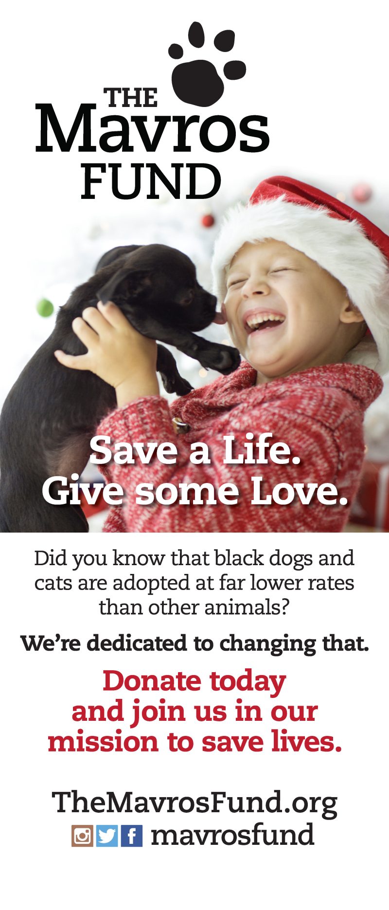 Pop-up Banners – Blue South Creative